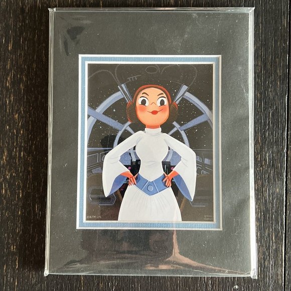 Disney | Art | Disney Star Wars Princess Leia Power Of Resistance Nidhi ...